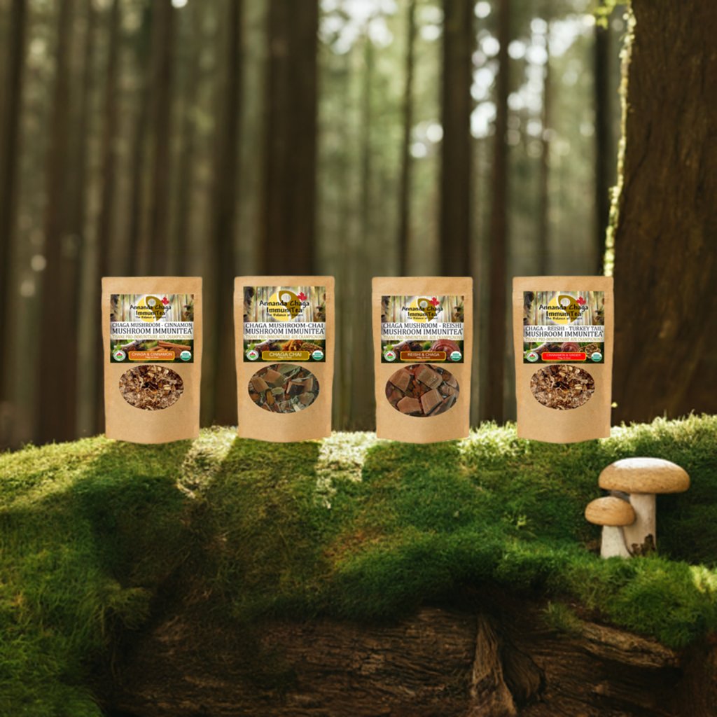 Annanda Mushroom Teas | Medicinal Mushroom ImmuniTea