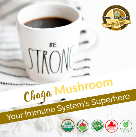 Chaga Mushroom Tea Online Guide to Good Health | Annanda Chaga