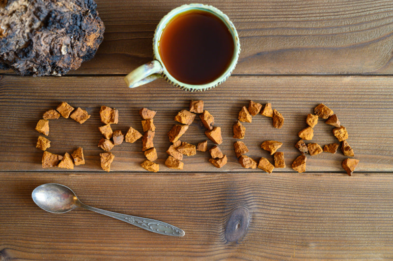 6 Chaga Health Benefits and how Mushrooms promote Good Health