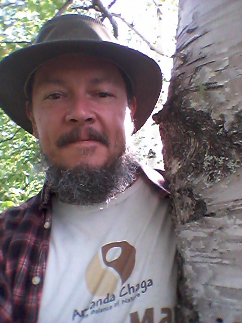 How to Identify Chaga Mushroom. Beware of False or Fool's Chaga