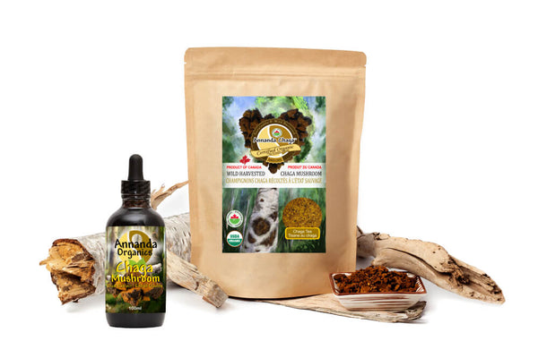 Annanda Chaga Mushrooms Canadian Organic Since 2012