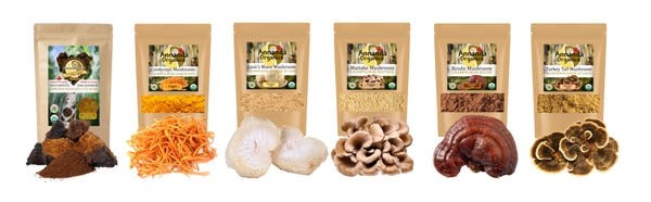 Annanda Organic Mushrooms - Mushroom Teas, Powders, Extracts and more