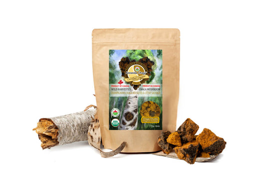 Annanda Chaga Shop Canadian Organic Mushrooms for Health and Wellbeing